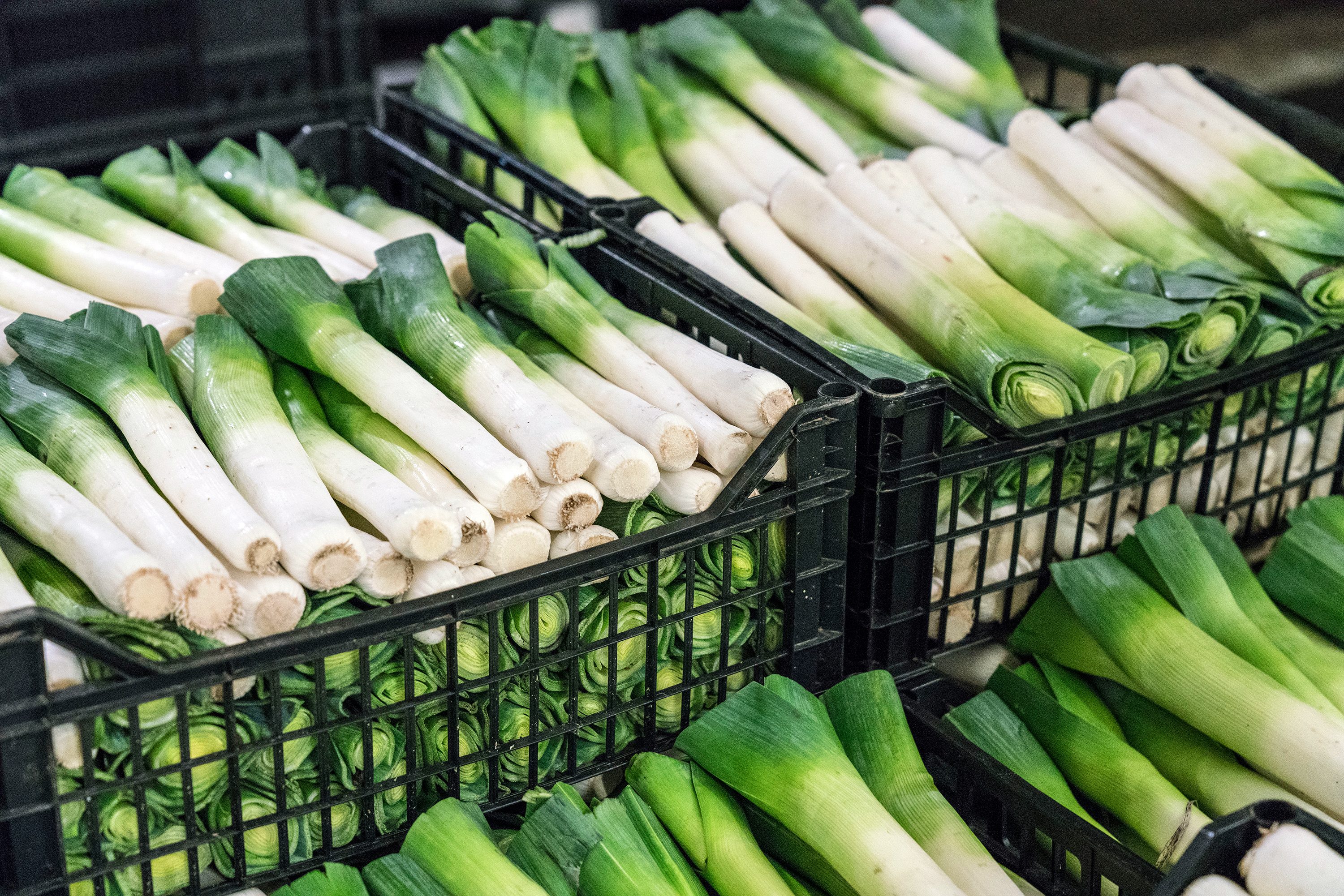 Prei - Van Gennip Handel